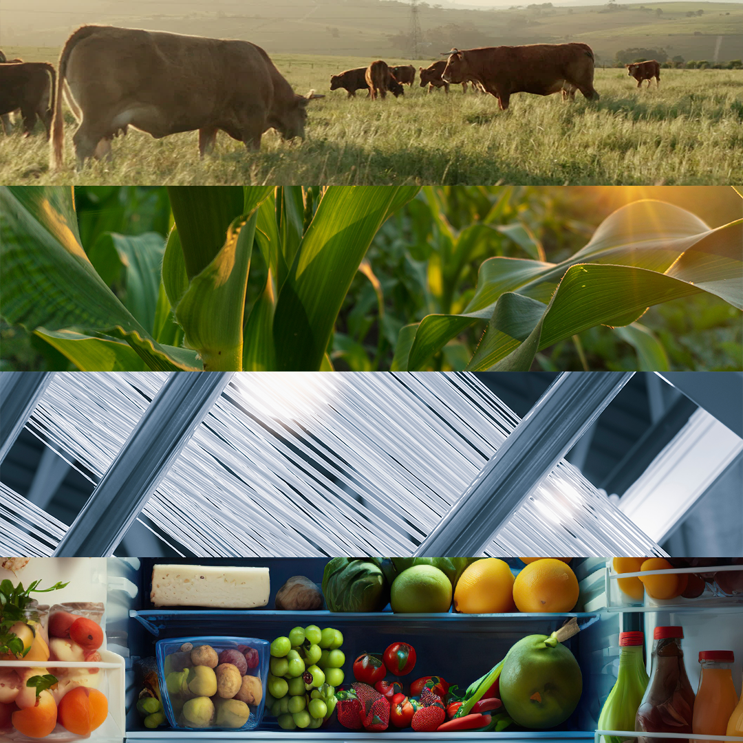 農業バリューチェーンの脱炭素化 | Terrascope Japan公式